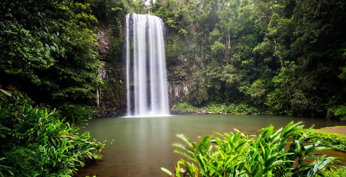 Home - Malanda Lodge